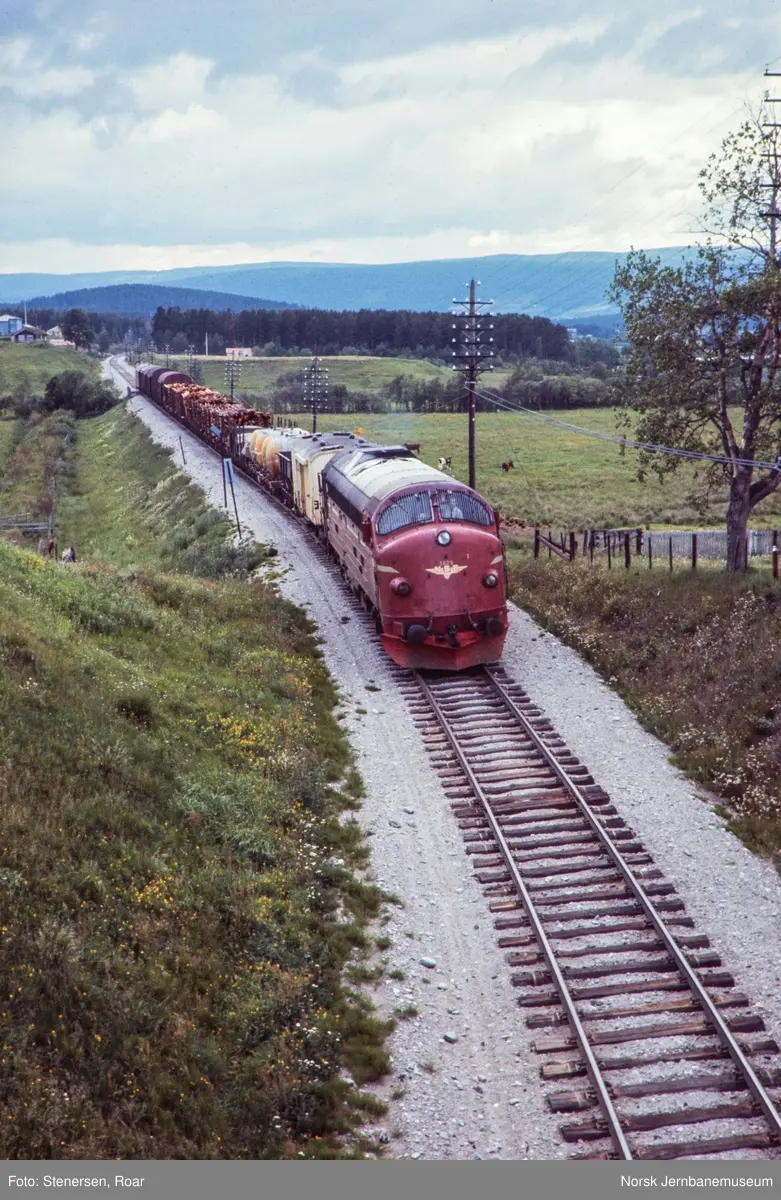Diesellokomotiv type Di 3 nr. 629 syd for Tynset stasjon med godstog ...