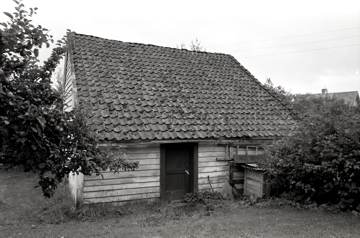 Våningshus, ved Stranda. Kalt skarprettarhuset. Det sto litt øst for ...