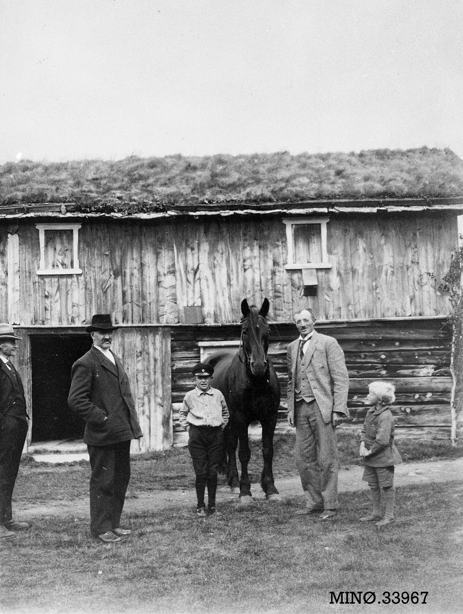 Menn og gutter, hest, - Anno Musea i Nord-Østerdalen / DigitaltMuseum