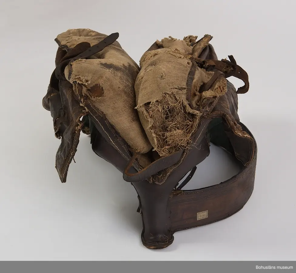 Damsadel - Bohusläns museum / DigitaltMuseum