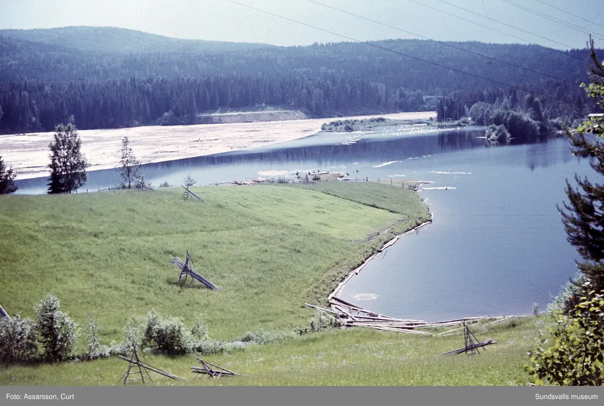Ljungan vid Hällsjö, Matfors. - Sundsvalls museum / DigitaltMuseum