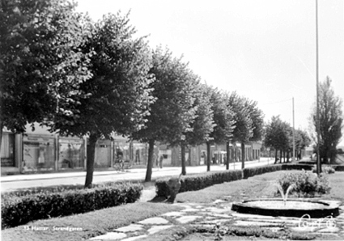 Postkort, Hamar, Strandgateparken, park med vannfontene, beplantning ...