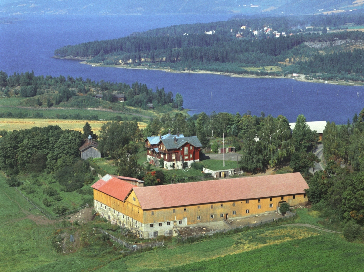 Flyfoto, Stein gard, Ringsaker. - Anno Domkirkeodden / DigitaltMuseum